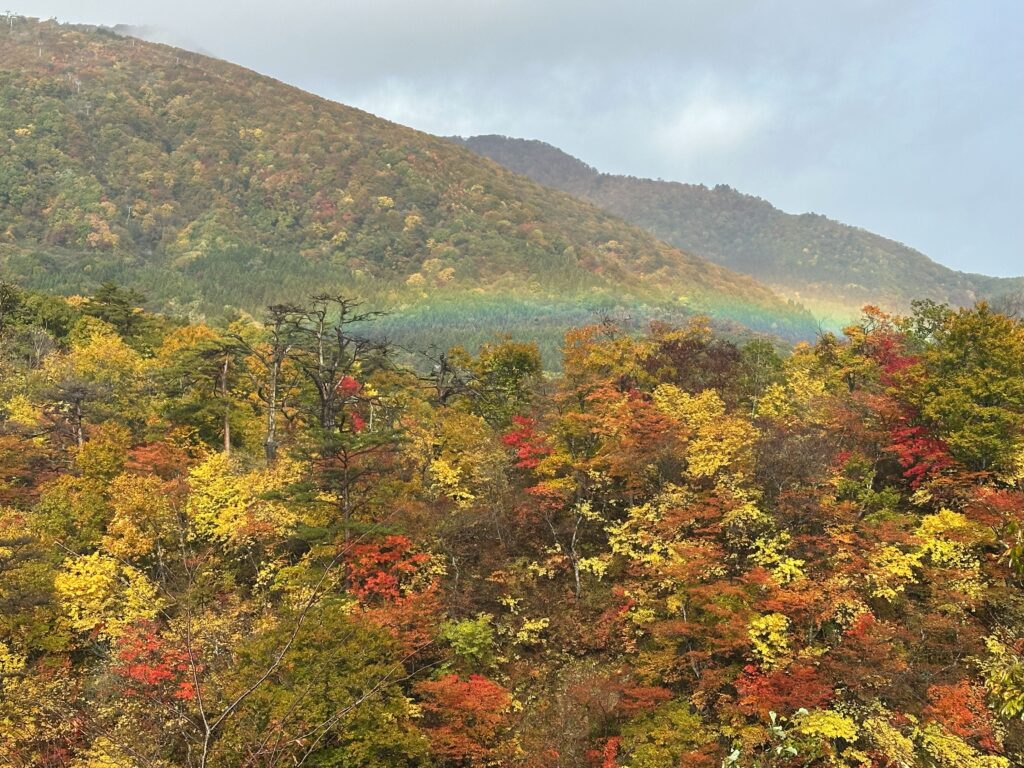 【2025オニコウベグリーンシーズンのご案内】 – オニコウベスキー場〜グリーンシーズン〜